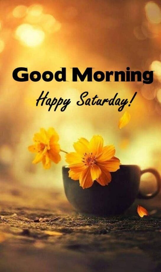 60 Good Morning Saturday Images with Beautiful Quotes 60 Good Morning Saturday Images with Beautiful Quotes